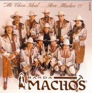 Anexo:Discografia Banda Machos | Wikibanda | Fandom
