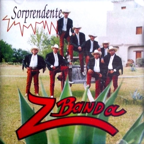 Anexo:Discografía de Banda Zeta | Wikibanda | Fandom