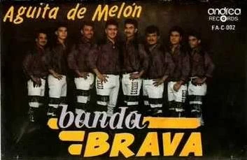 Anexo: Discografía de Banda Brava | Wikibanda | Fandom