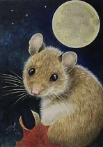 Mouse | Bandaiyan Wiki | Fandom