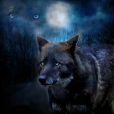 Anruth | Bandaiyan Wiki | Fandom