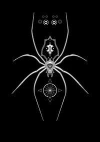 Wolf Spider | Bandaiyan Wiki | Fandom
