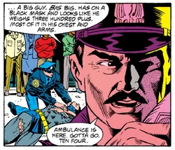 Bane | Baneposting Wikia | Fandom