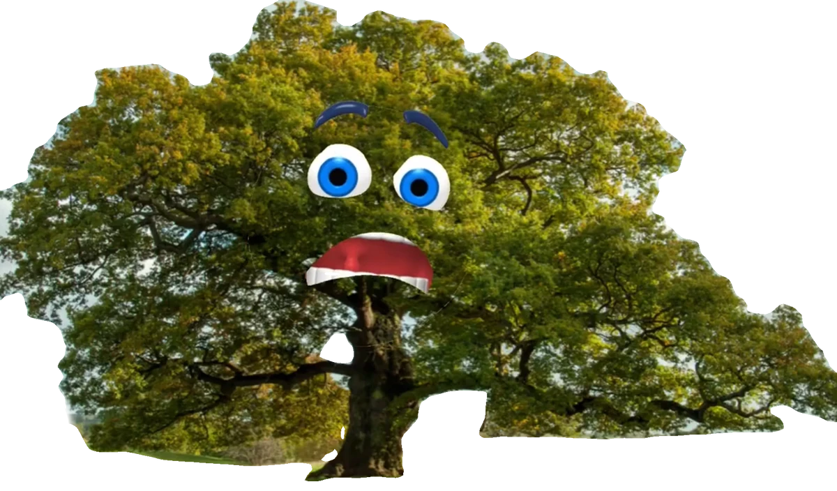 Unnamed NMH Terrified Tree | Bane’s Number Lore Wiki | Fandom