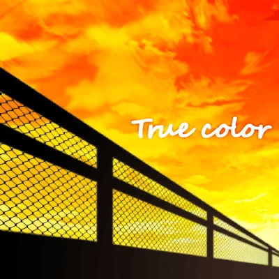 True color | BanG Dream! Vietnam Wikia | Fandom