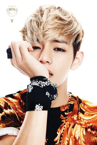 V | BTS Wiki | Fandom