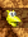 Yellow Jinjo | Banjo-Kazooie Wiki | Fandom