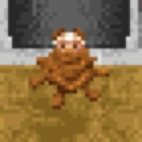 The Squits | Banjo-Kazooie Wiki | Fandom