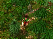 Project Dream | Banjo-Kazooie Wiki | Fandom