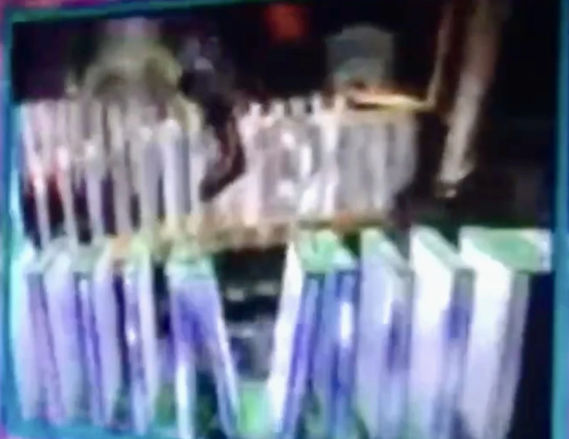 Episode 21 (Sponge Bridge/Kangaroo) | Unbeatable Banzuke Wiki | Fandom