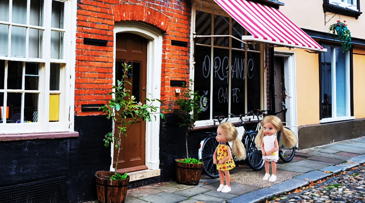 Organic Café | Barbie Grace's World Wiki | Fandom