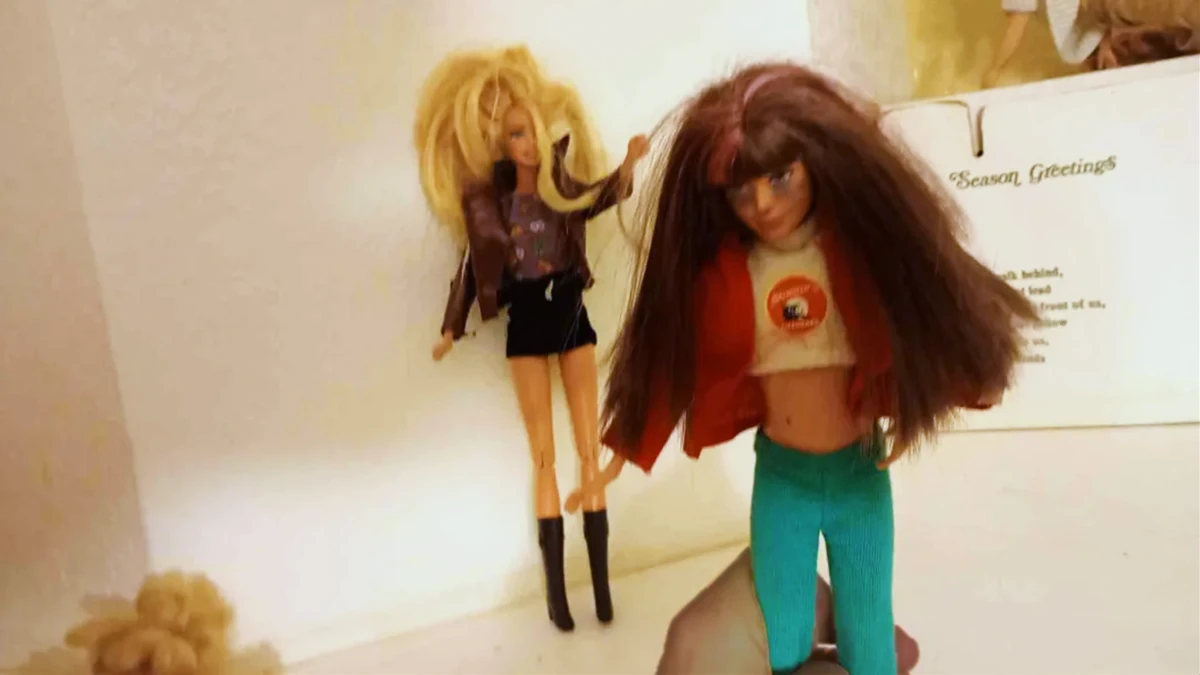 Skipper (episode) | Barbie Grace's World Wiki | Fandom