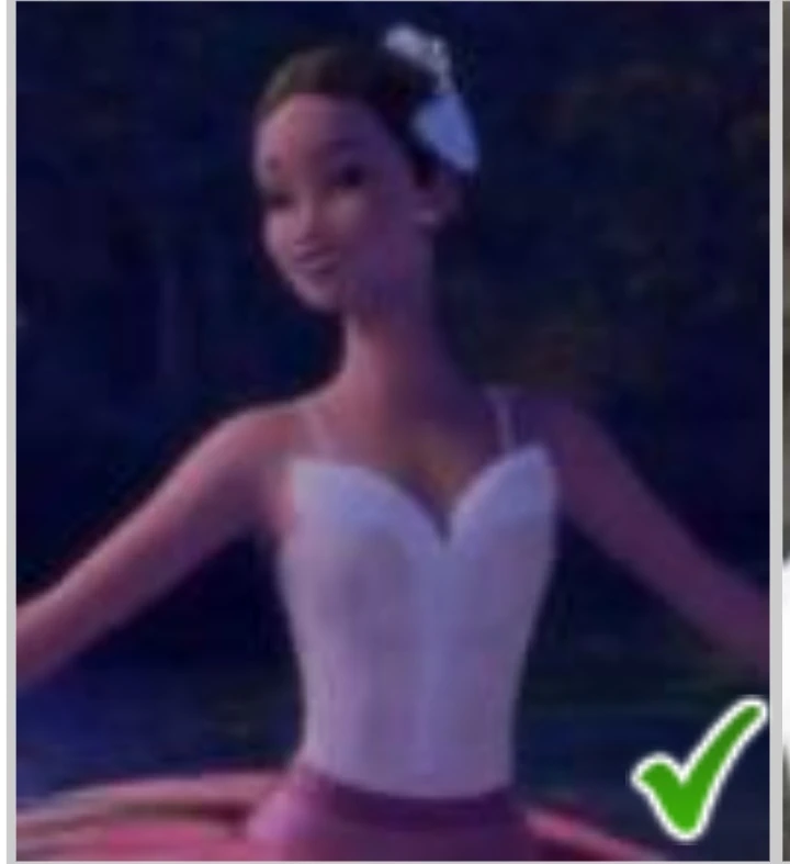 Swan Dancer | Barbie Movies Wiki | Fandom