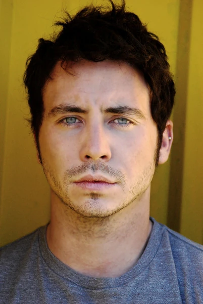 Marty Shannon | Barbie Movies Wiki | Fandom