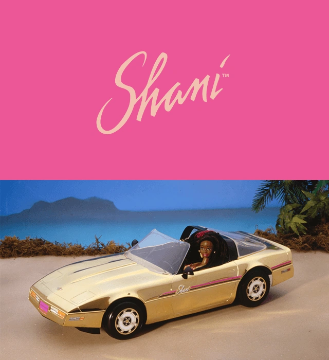 The Marvelous World of Shani | Barbie Wiki | Fandom