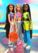 Nikki | Barbie Wiki | Fandom