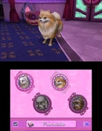 Barbie Groom and Glam Pups (Video Game) | Barbie Wiki | Fandom