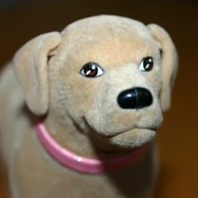 Tanner | Barbie Wiki | Fandom