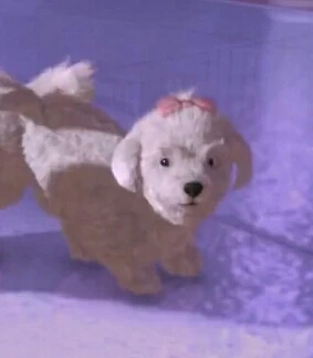 Pop-corn | Barbiepédia | Fandom