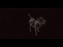Dog | The Bard's Tale Wiki | Fandom