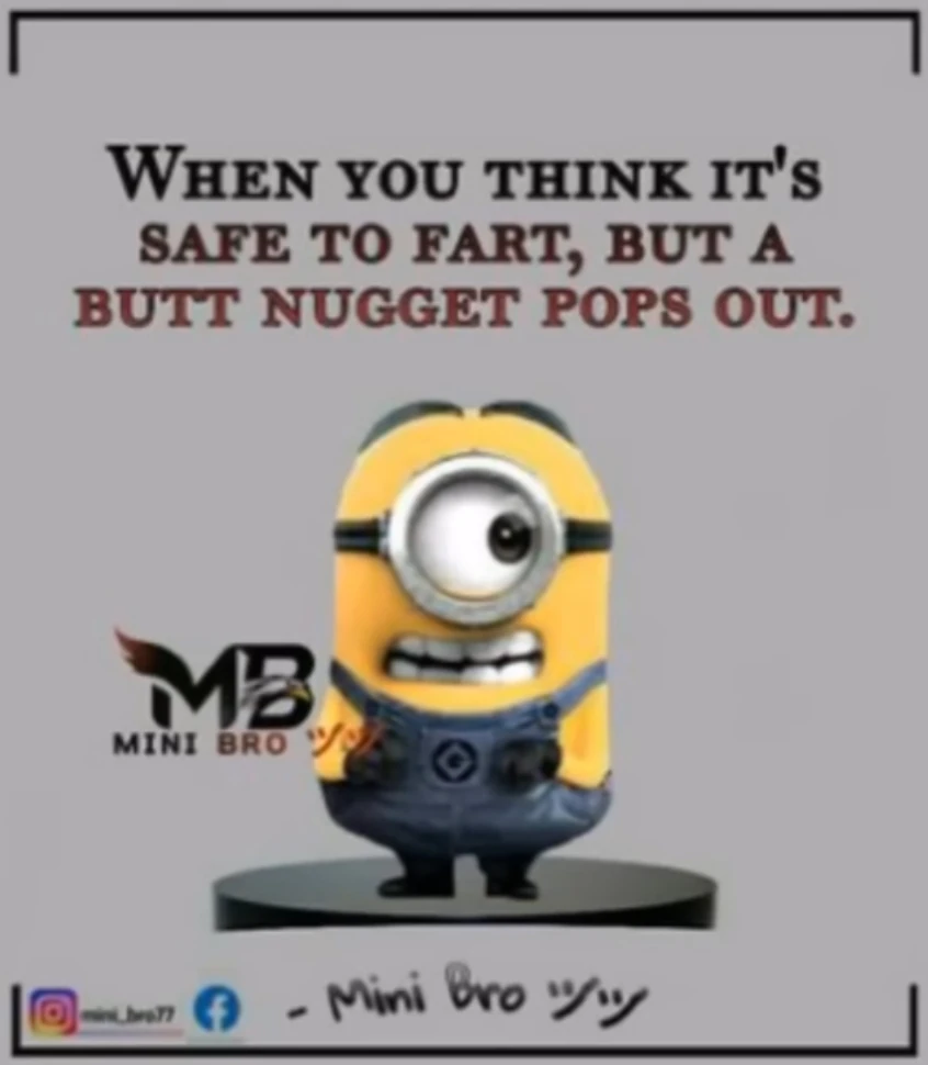 Minion Memes | The Barf Bag Wiki | Fandom