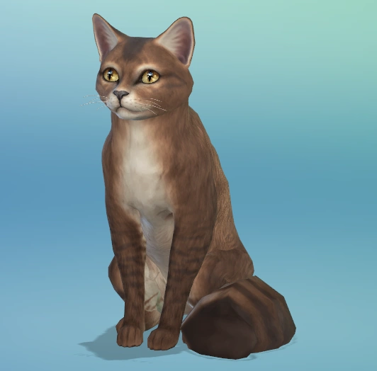 Harriertalon | Barkrockseasilent Wiki | Fandom