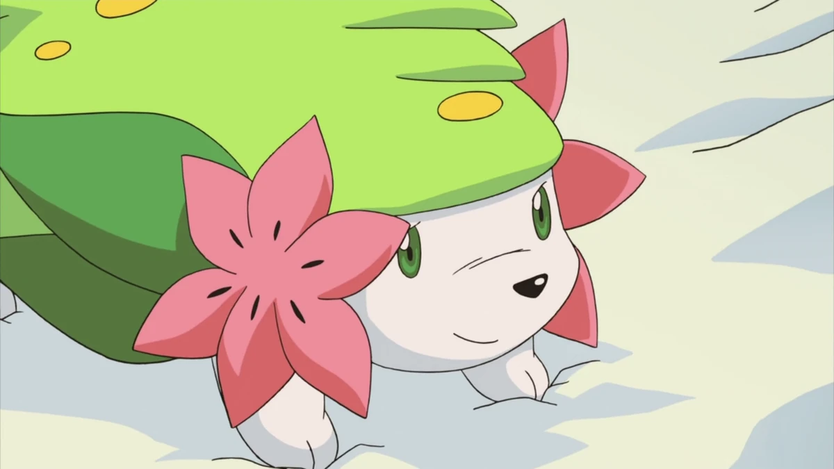 Shaymin (anime) | Barley Wiki | Fandom