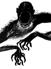 Worm-hole | Barli and SCP Foundation 2020 Wiki | Fandom