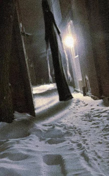 The Long Lady | Barli and SCP Foundation 2020 Wiki | Fandom