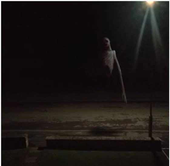 The Reverse Hangman | Barli and SCP Foundation 2020 Wiki | Fandom