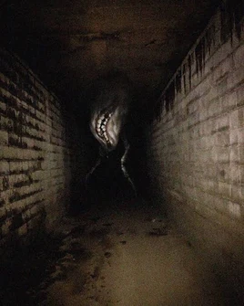 Smile With Me | Barli and SCP Foundation 2020 Wiki | Fandom