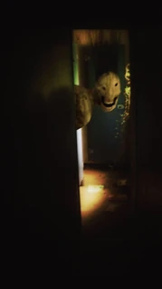 Watermelon | Barli and SCP Foundation 2020 Wiki | Fandom