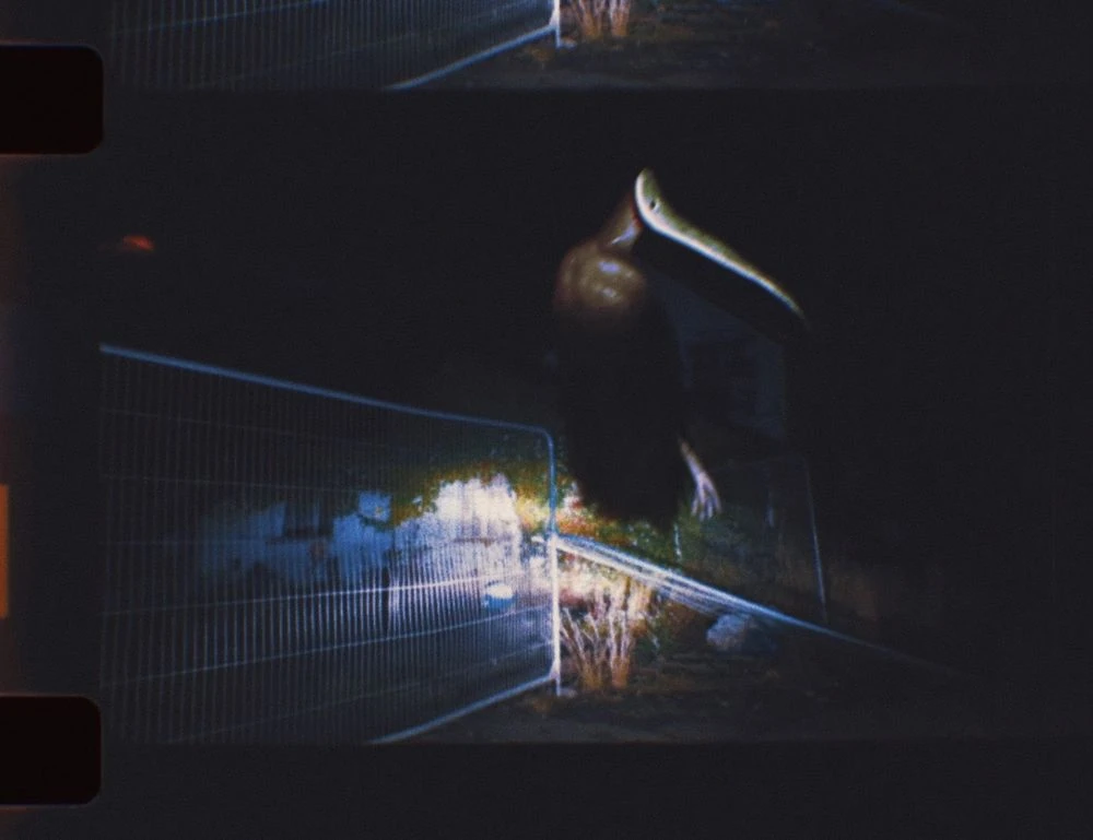 Bloody Dead Crow | Barli and SCP Foundation 2020 Wiki | Fandom