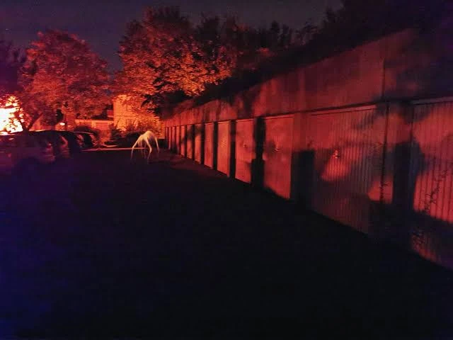 Night Crawling | Barli and SCP Foundation 2020 Wiki | Fandom