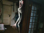 God Of Chickens/Chicken Ghost | Barli and SCP Foundation 2020 Wiki | Fandom