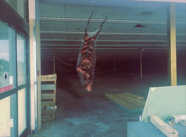 Unknown Life | Barli and SCP Foundation 2020 Wiki | Fandom