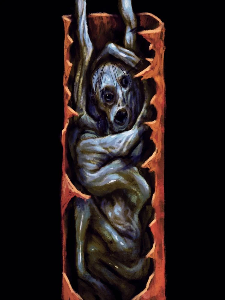 The Man In The Pipe | Barli and SCP Foundation 2020 Wiki | Fandom