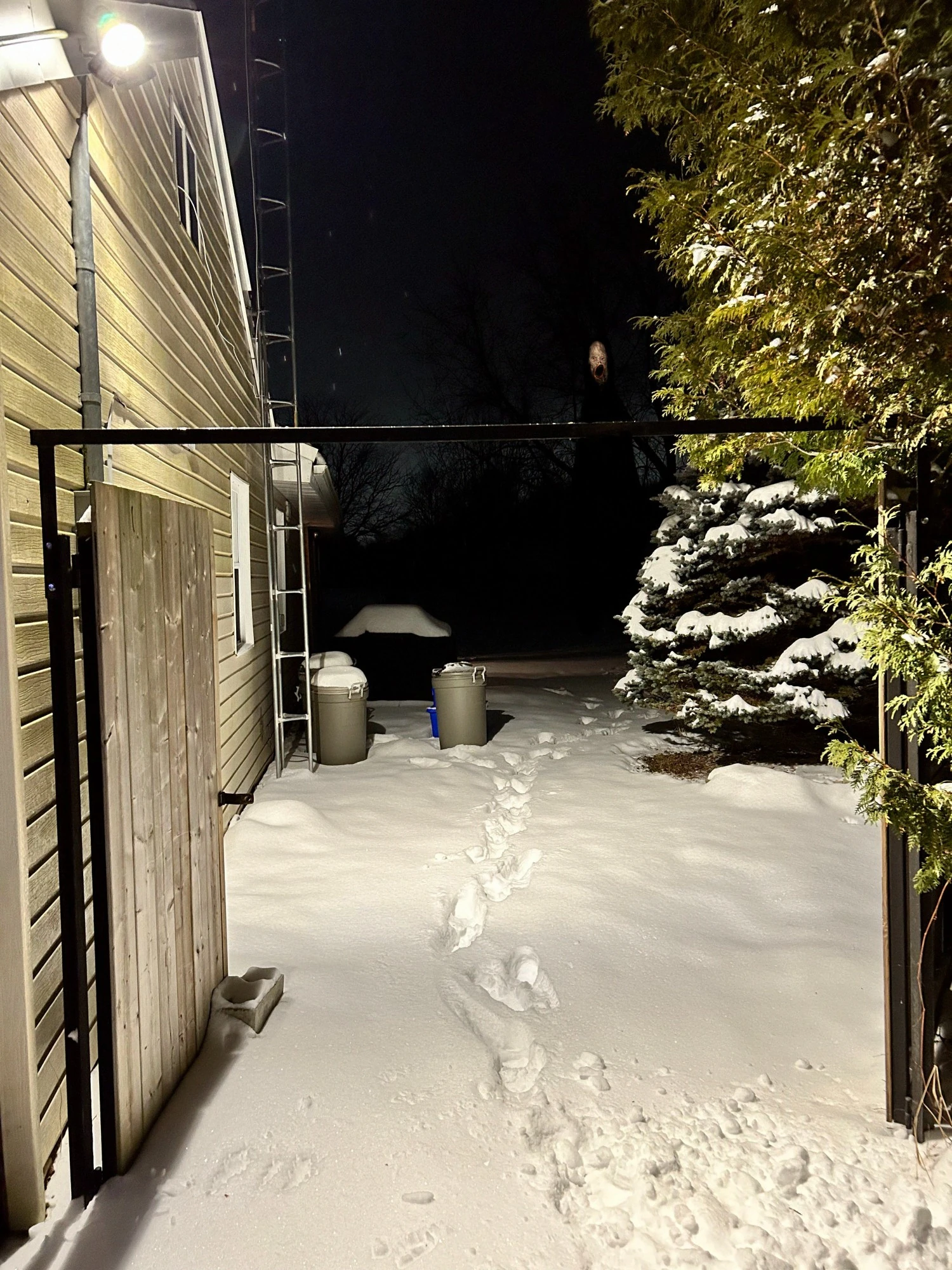 It came back the next night | Barli and SCP Foundation 2020 Wiki | Fandom