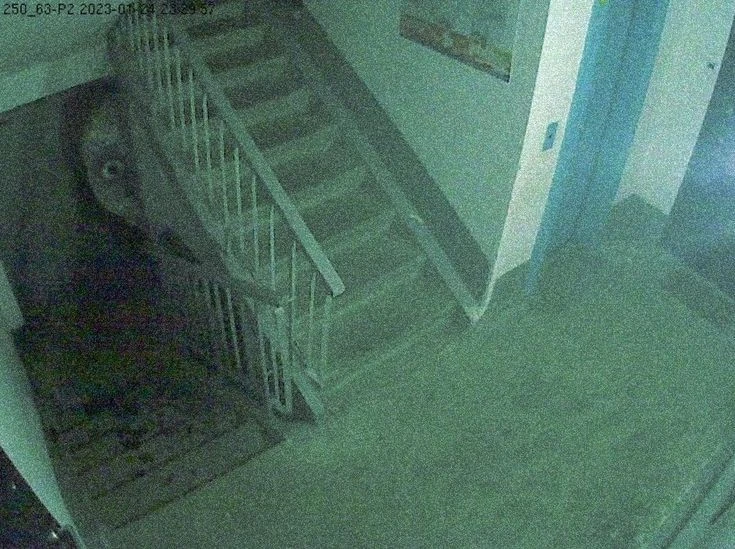 Weird Neighbor | Barli and SCP Foundation 2020 Wiki | Fandom