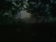 Shadow Man | Barli and SCP Foundation 2020 Wiki | Fandom