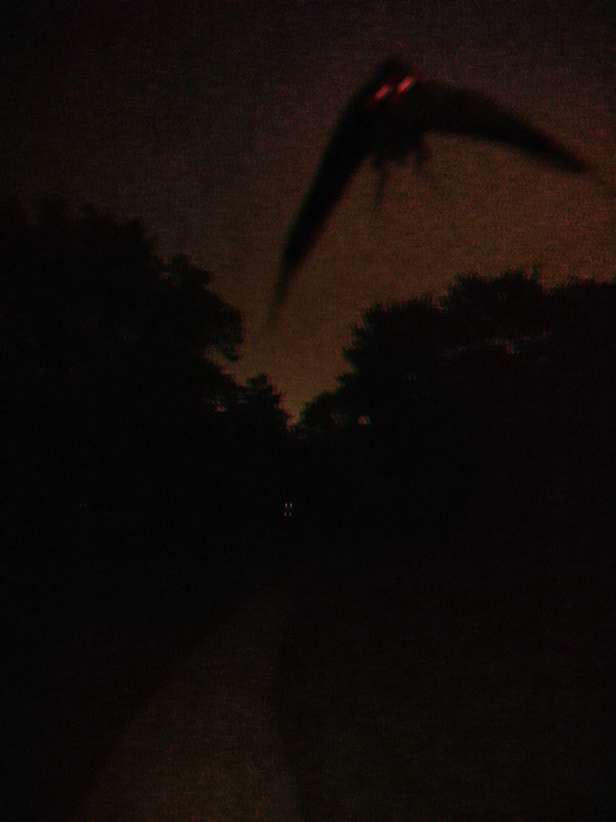 Mothman | Barli and SCP Foundation 2020 Wiki | Fandom