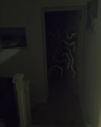 A Blind Creature | Barli and SCP Foundation 2020 Wiki | Fandom