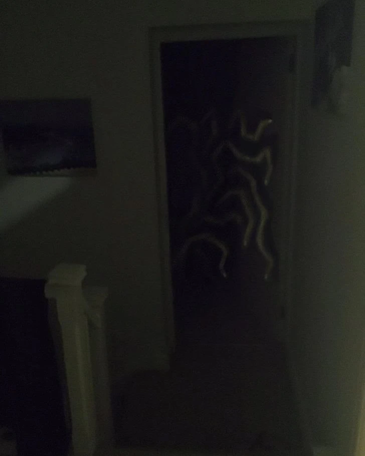 A Blind Creature | Barli and SCP Foundation 2020 Wiki | Fandom