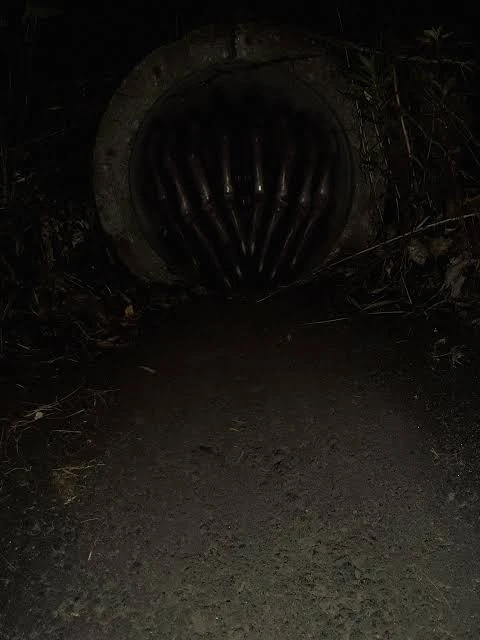 Bone Tunnel | Barli and SCP Foundation 2020 Wiki | Fandom