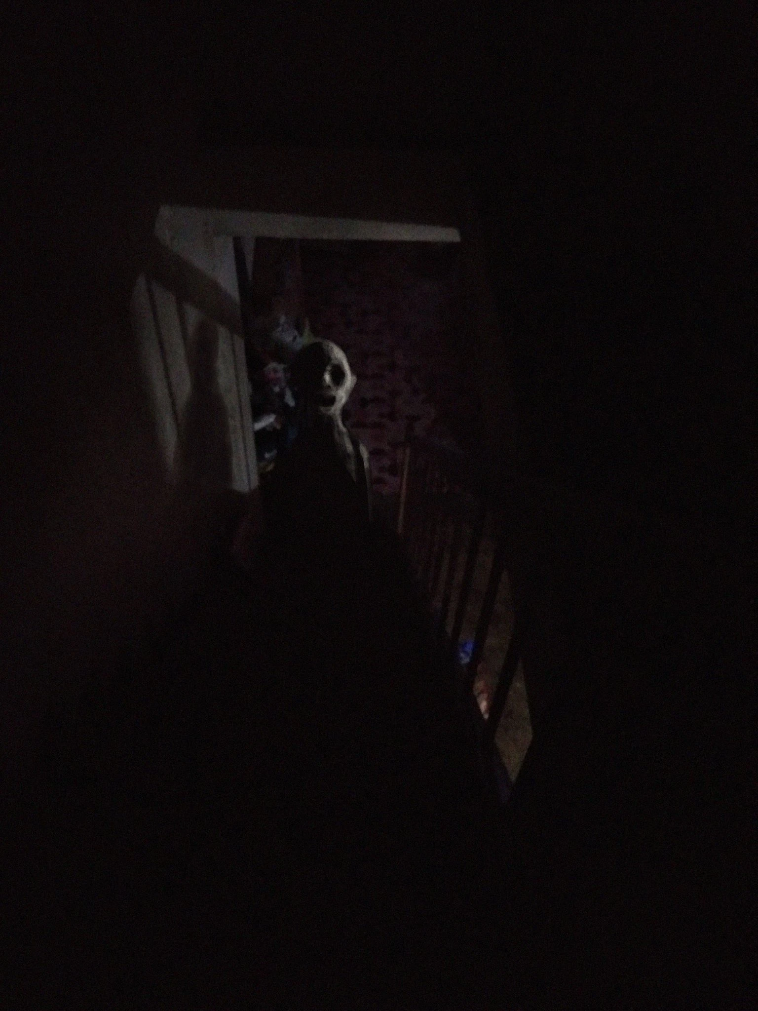 The Grey Thing | Barli and SCP Foundation 2020 Wiki | Fandom