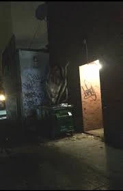 The Humanoid Cockroach | Barli and SCP Foundation 2020 Wiki | Fandom