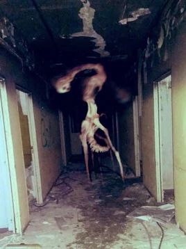A Real Ghost | Barli and SCP Foundation 2020 Wiki | Fandom