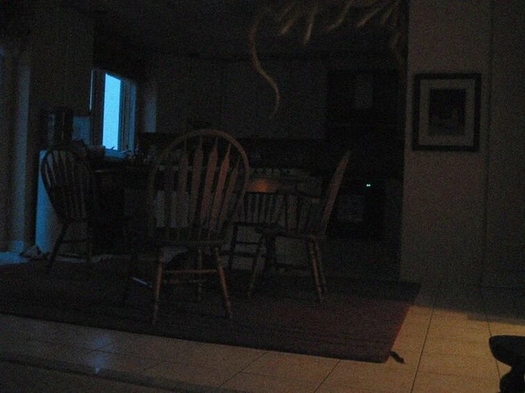 Silverfish Infestation | Barli and SCP Foundation 2020 Wiki | Fandom