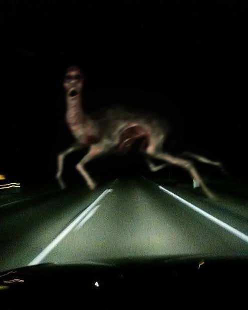 Late Night Encounter | Barli and SCP Foundation 2020 Wiki | Fandom