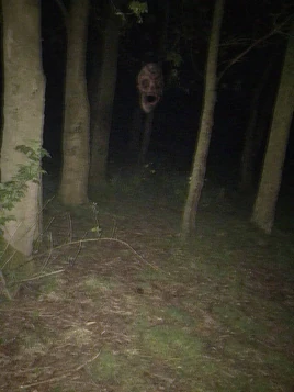 The Flying Head | Barli and SCP Foundation 2020 Wiki | Fandom